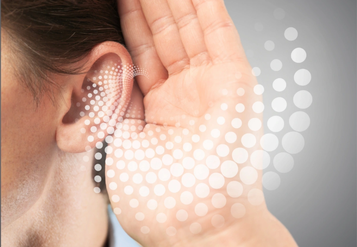 The Basics of Hearing: How Our Ears Capture Sound - Knox Audiology ...